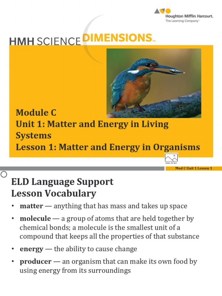 Karter Rice - Student Copy of Book C Unit 1 Lesson 1.pptx | PDF | Foods ...