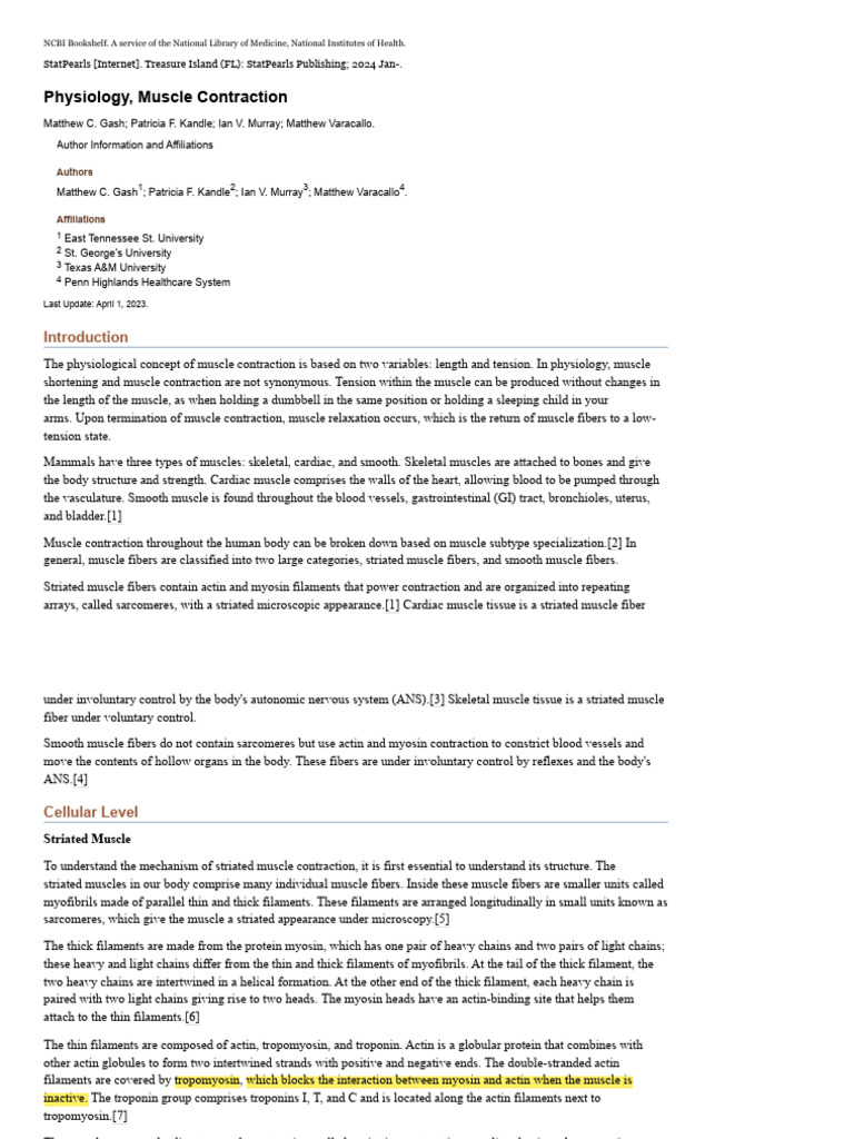 Physiology, Muscle Contraction - StatPearls - NCBI Bookshelf | PDF | Muscle Contraction | Anatomy