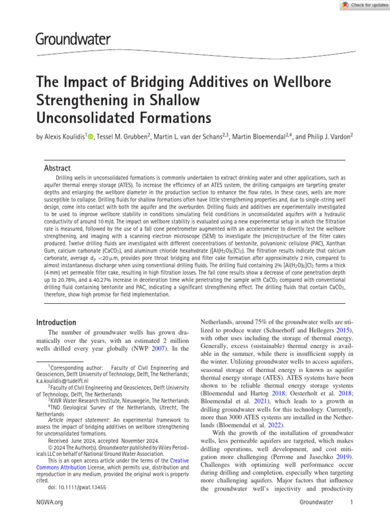 Groundwater - 2024 - Koulidis - The Impact of Bridging Additives on ...