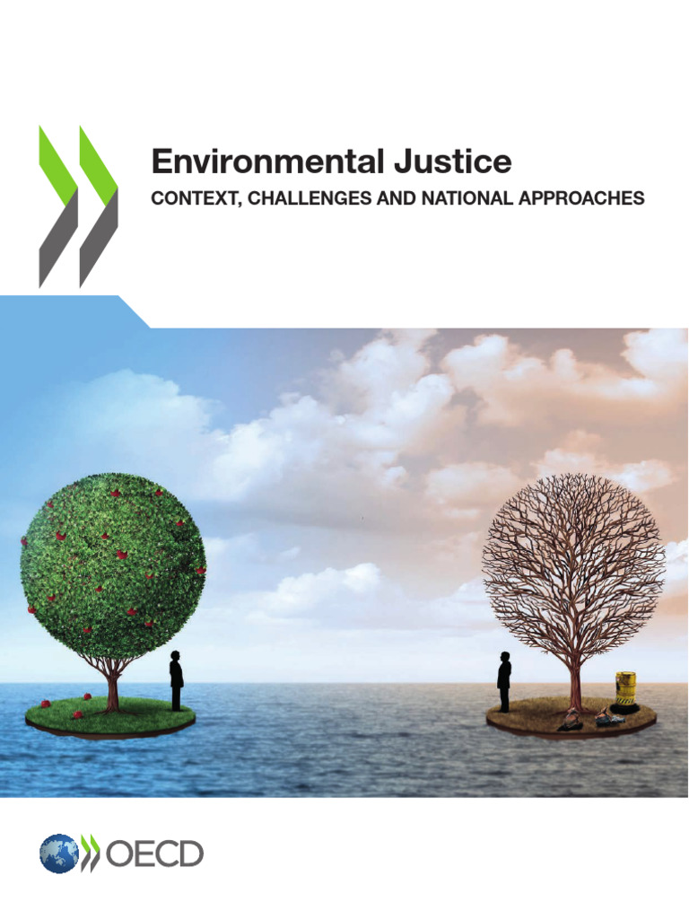 Environmental Justice Context, Challenges and National Approaches | PDF ...