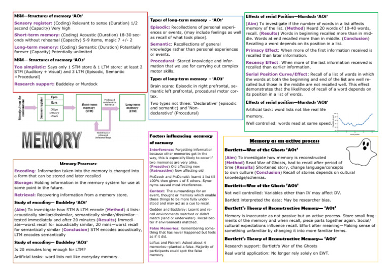 Memory Knowledge Organiser (Complete) | PDF | Recall (Memory) | Memory