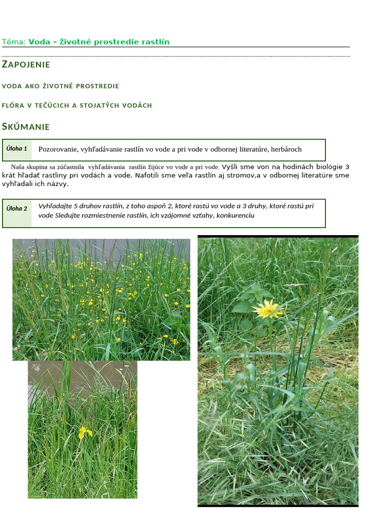 Prac - List č.1 - 2 BIO | PDF