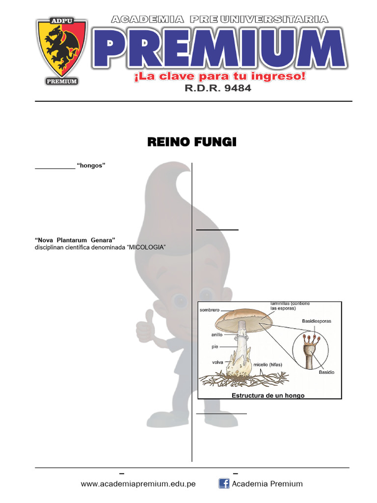 Tema 04 de Biologia - Reino Fungi y Plantae | PDF | Hongo | Raíz