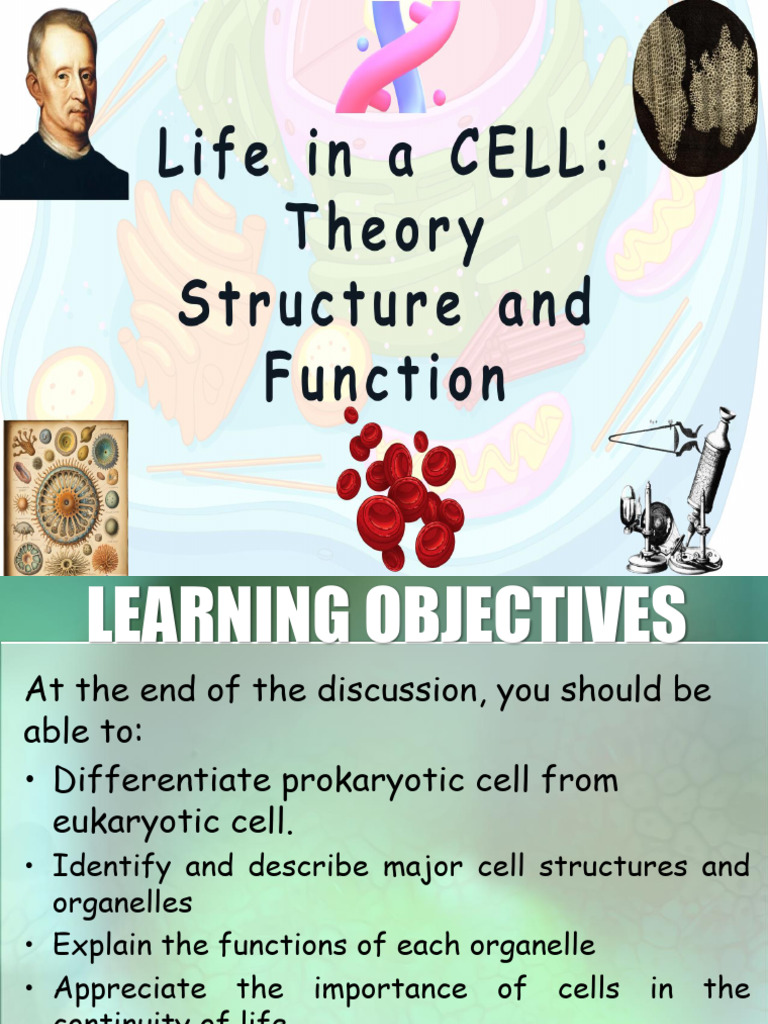 Cell-Parts-and-Function | PDF | Cell (Biology) | Endoplasmic Reticulum
