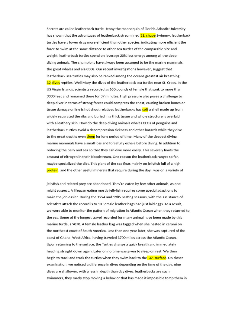 Leatherback Turtles: Deep Dive Secrets | PDF | Turtle | Underwater Diving