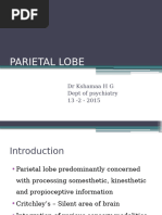 Parietal Lobe Function Assessment Guide | PDF | Parietal Lobe ...