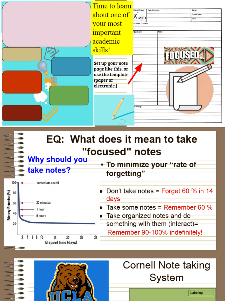 How to take Cornell Notes | PDF | Learning | Neuroscience