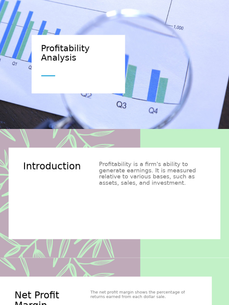 Profitability Analysis | PDF | Net Income | Revenue