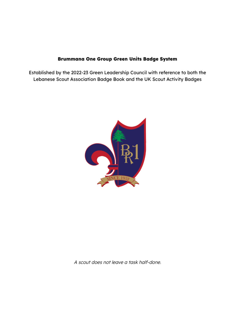 Brummana One Group Green Units Badge System | PDF | Knot | Night Sky