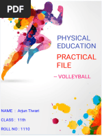 Physical Education Project Cover Page 1 | PDF