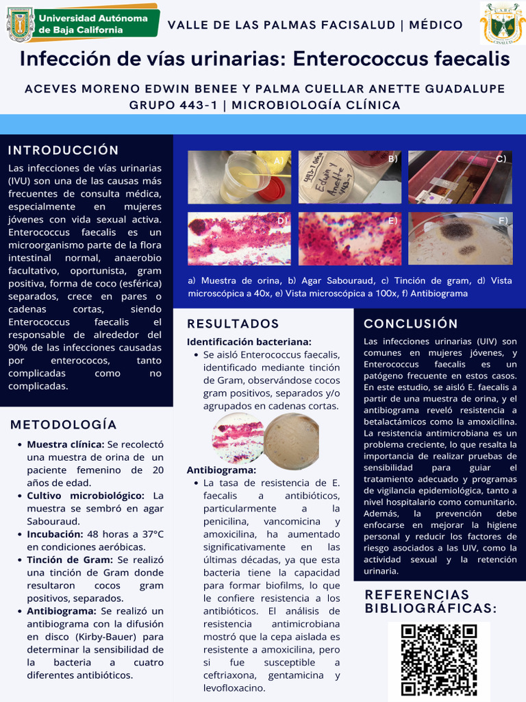 Poster de Enterococcus Faecalis | PDF