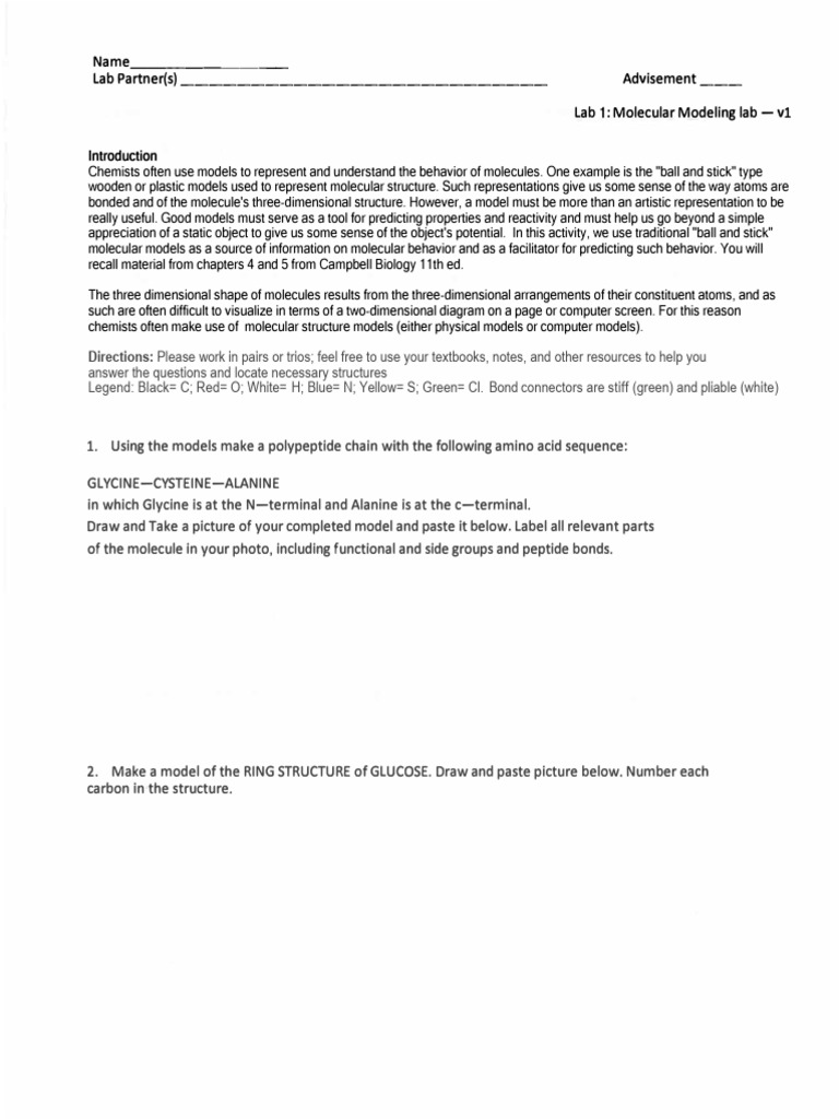 Lab - Chapter 5 - Molecular Modeling - 24 Seniors version 1 | PDF | Fatty Acid | Chemistry