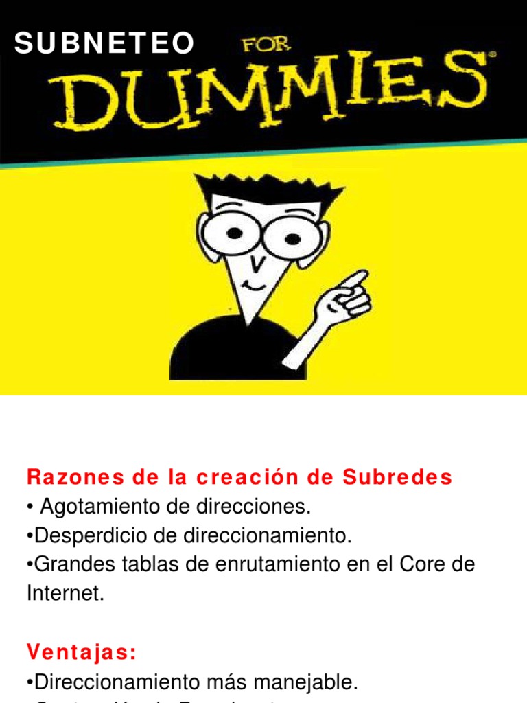 Subneteo 4 Dummies | PDF