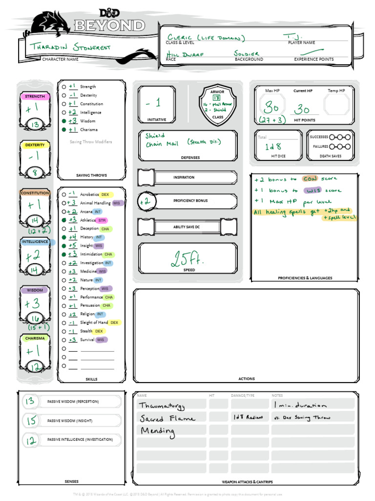 Blank D&D Character Sheet | PDF | Dungeons & Dragons | Role Playing