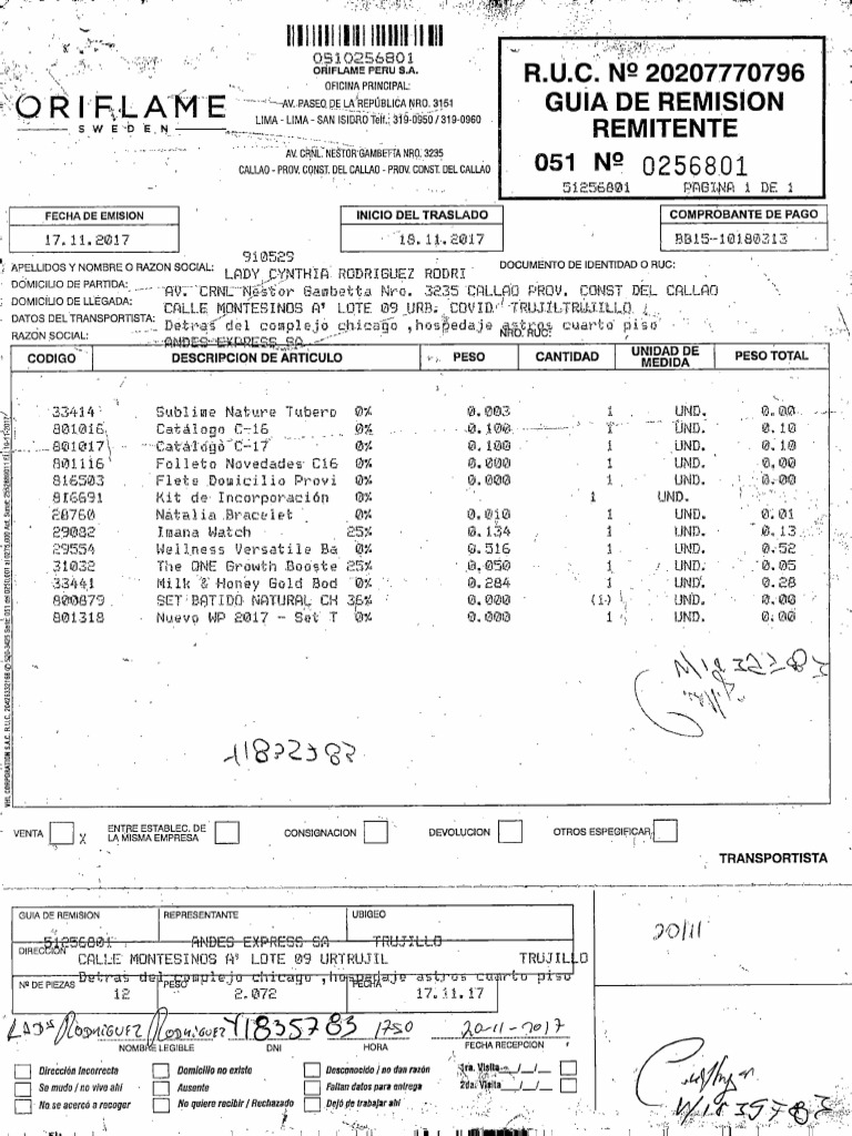 Guía de Entrega | PDF