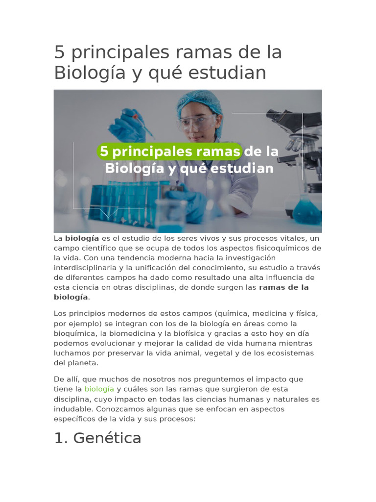 5 Principales Ramas de La Biología y Qué Estudian | PDF | Biología ...