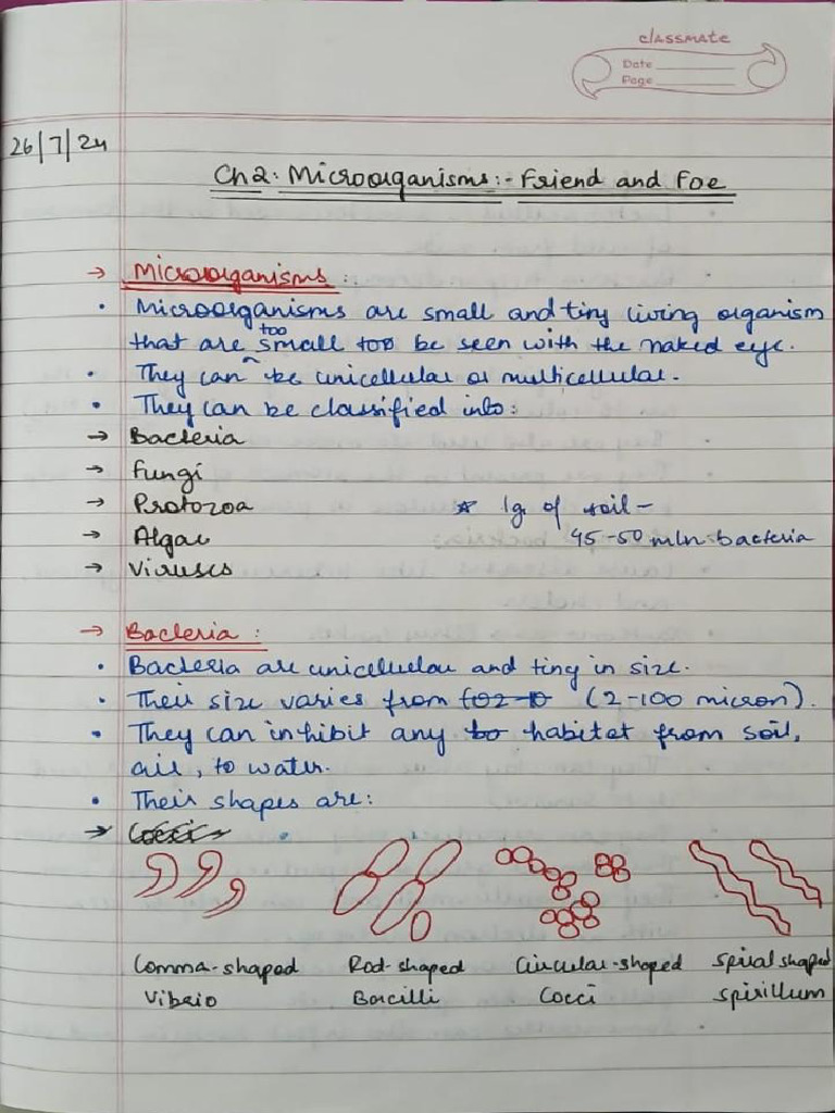 Bio, 8, Microorganisms | PDF