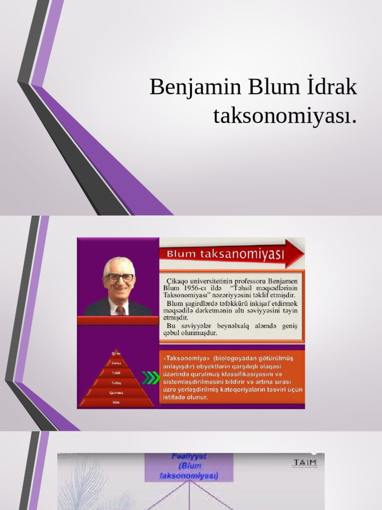Benjamin Blum İdrak Taksonomiyası | PDF