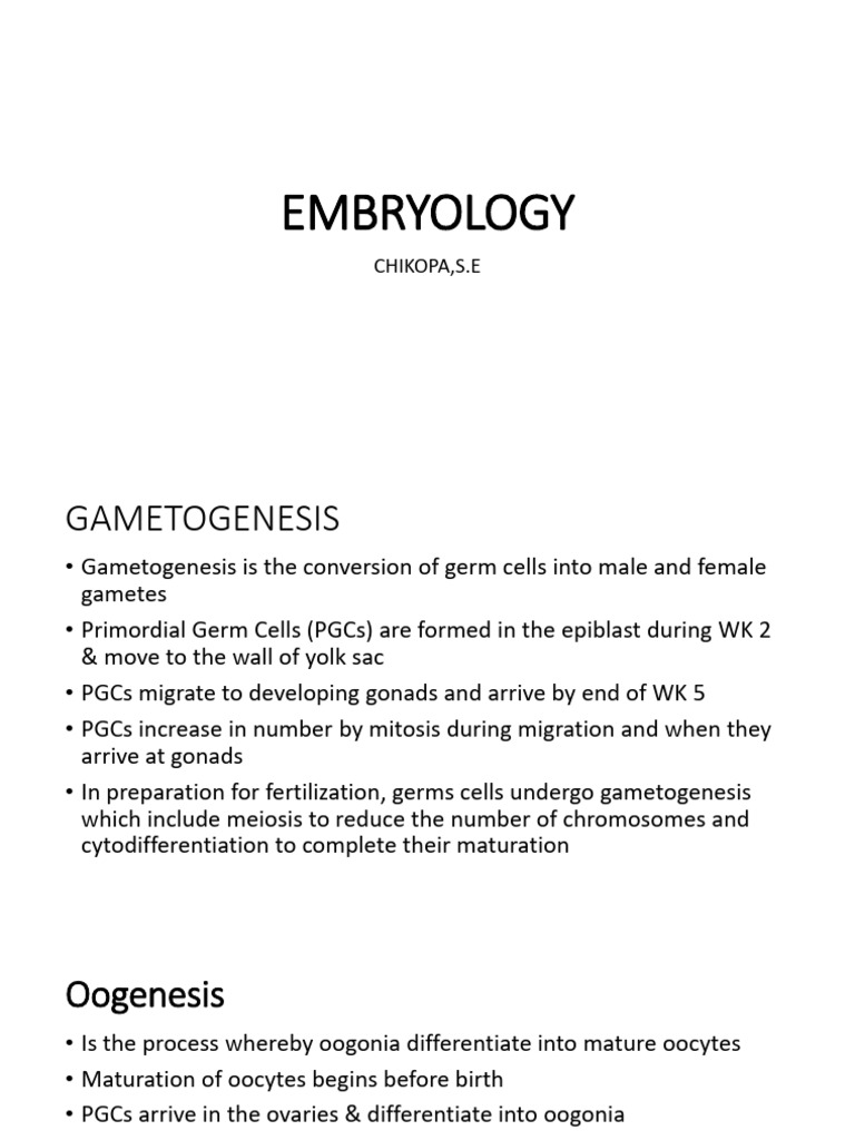 Embryology | PDF | Meiosis | Embryo