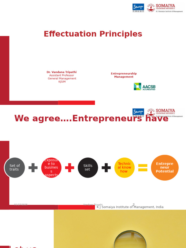 Effectuation Principles | PDF | Entrepreneurship | Cognition
