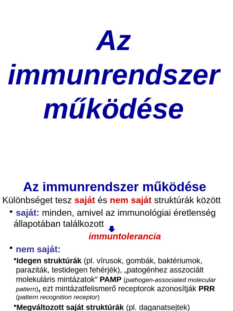 4ea_ImmunrendszerG_2024 | PDF