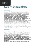 Définition et classification des métazoaires | PDF | Anatomie | Biologie
