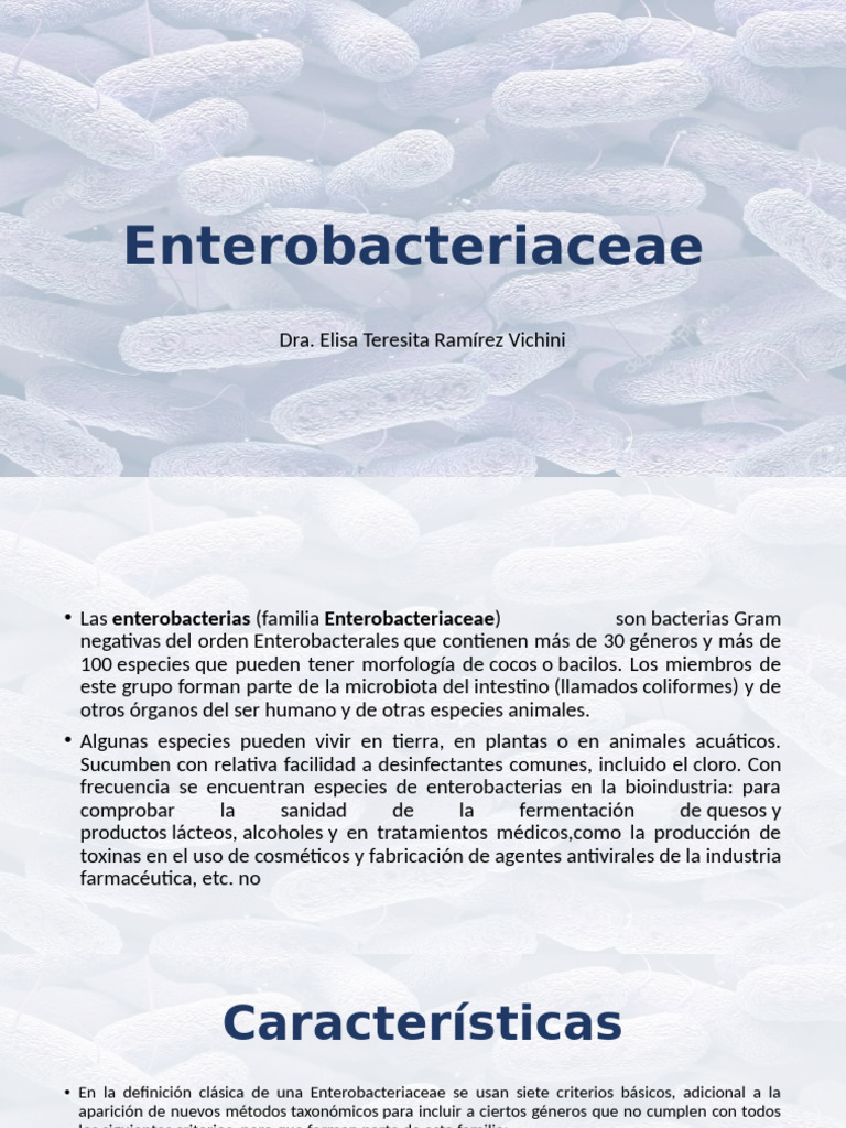 Enterobacteriaceae: Características y Riesgos | PDF | Especialidades ...