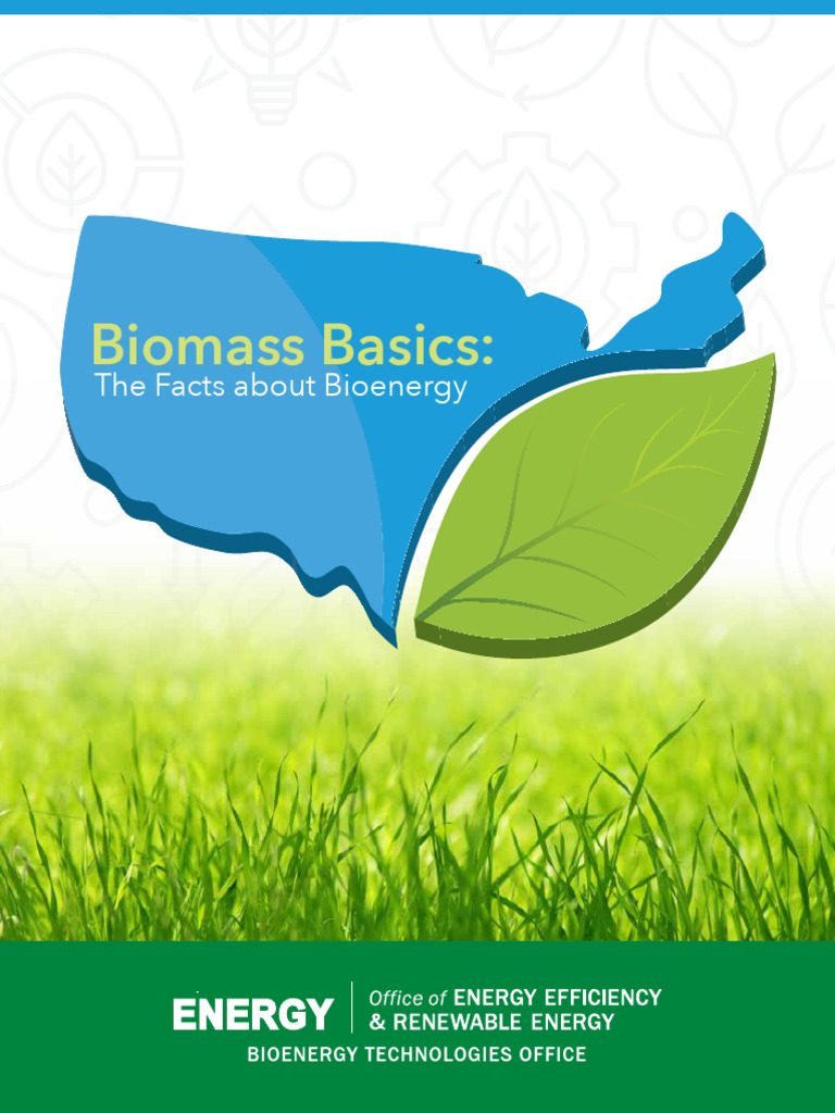 biomass-basics-facts-about-bioenergy | PDF | Biofuel | Bioenergy