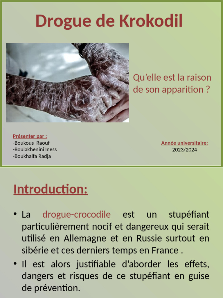 Dangers du Krokodil : L'héroïne du pauvre | PDF | Héroïne | Médicaments