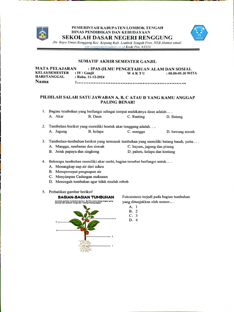 SAS IPAS 4 SMS 1 | PDF