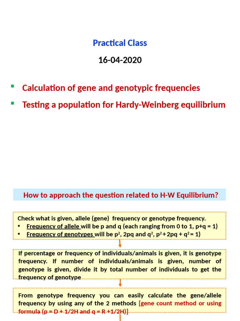 Practical - Hardy-Weinberg Law | PDF | Dominance (Genetics) | Allele