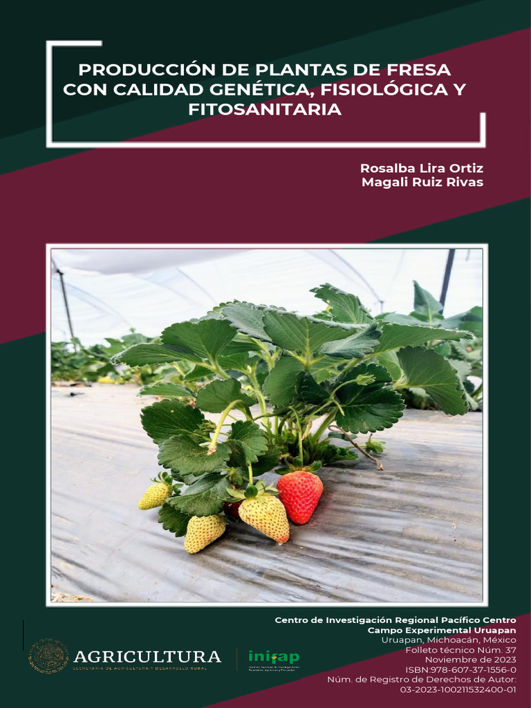 Producción de Fresas: Calidad Genética y Fitosanitaria | PDF ...