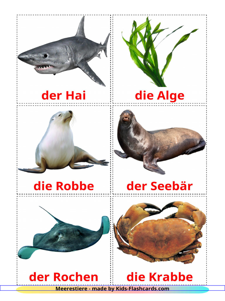 Sea Animals Flashcards in German | PDF