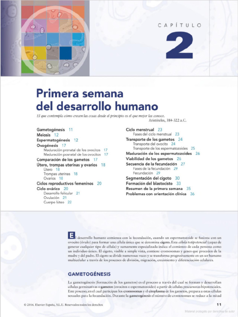 Cap2 Moore Embriología | PDF