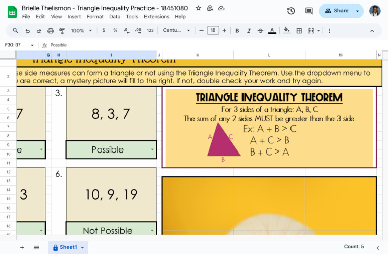 Triangle Inequality Practice Worksheet | PDF