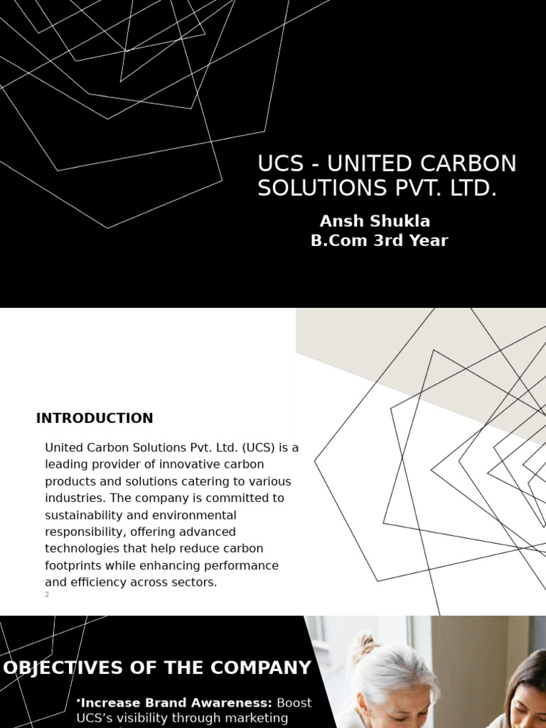 Internship PPT of Ansh | PDF | Marketing | Digital Marketing