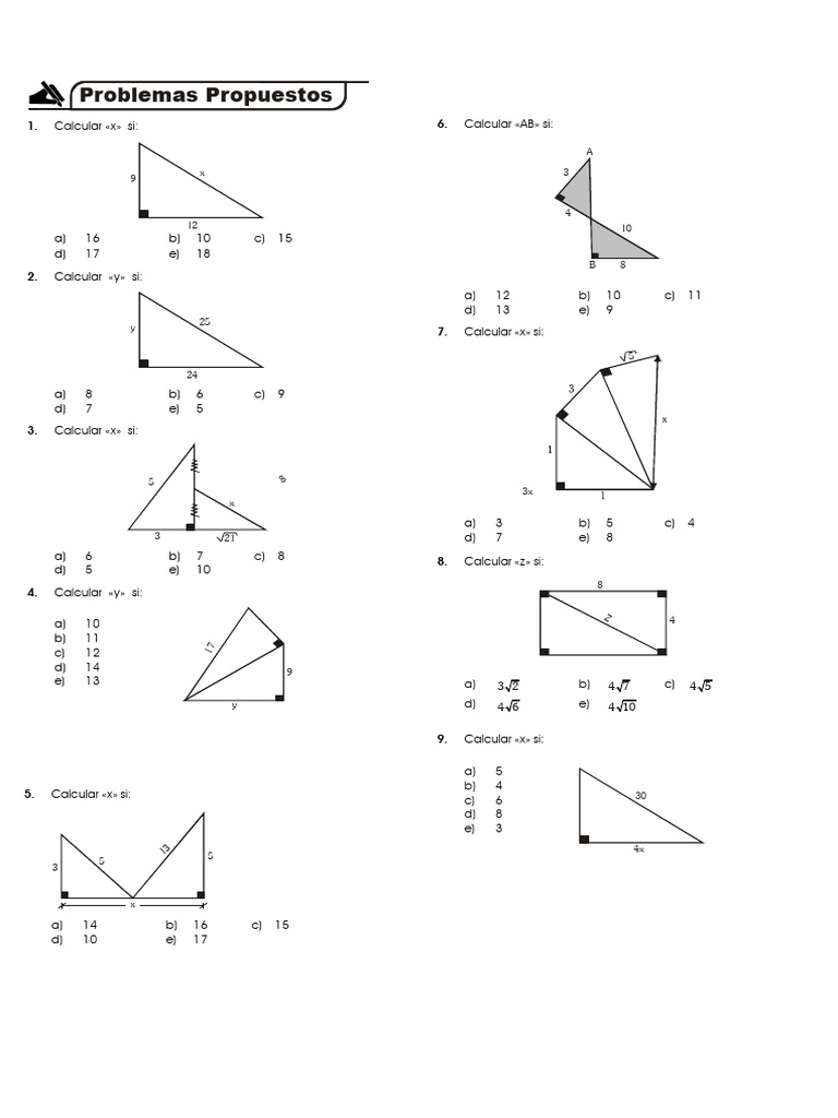 Practica Extra Pitagoras | PDF