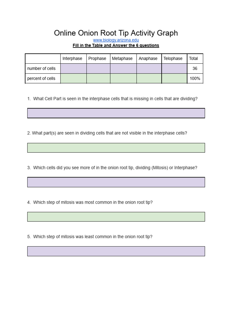 Honors Bio Mitosis Online Onion Root Tip Activity | PDF