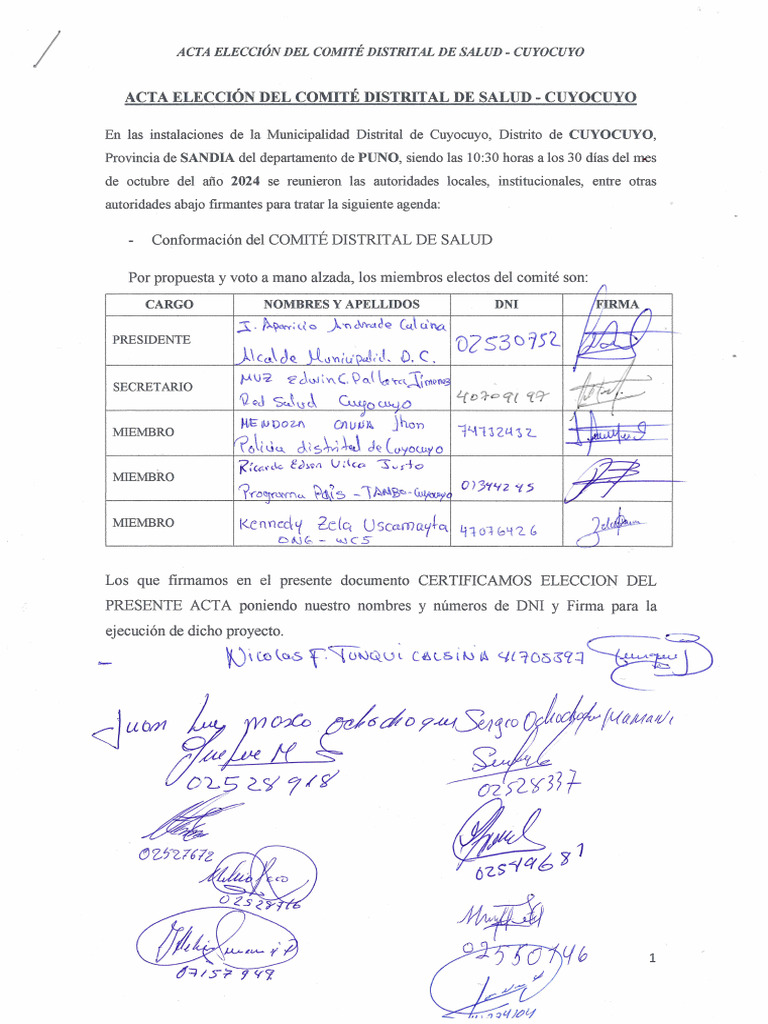 acta de comite | PDF