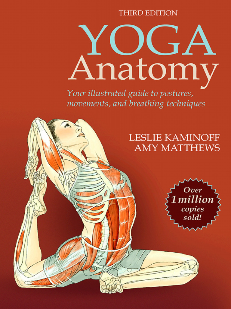 Anatomia Del Yoga 3ed Digital Esp | PDF | Hueso | Experiencia