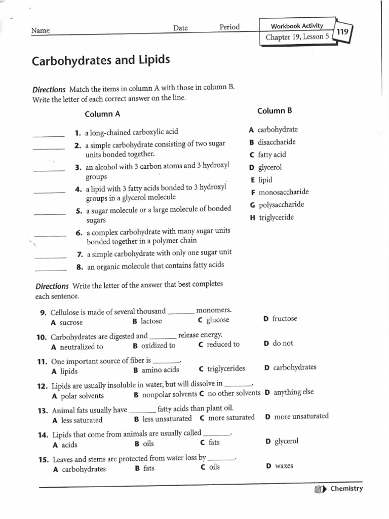 Worksheet B - Carbohydrates Lipids Proteins and Nucleic Acids | PDF