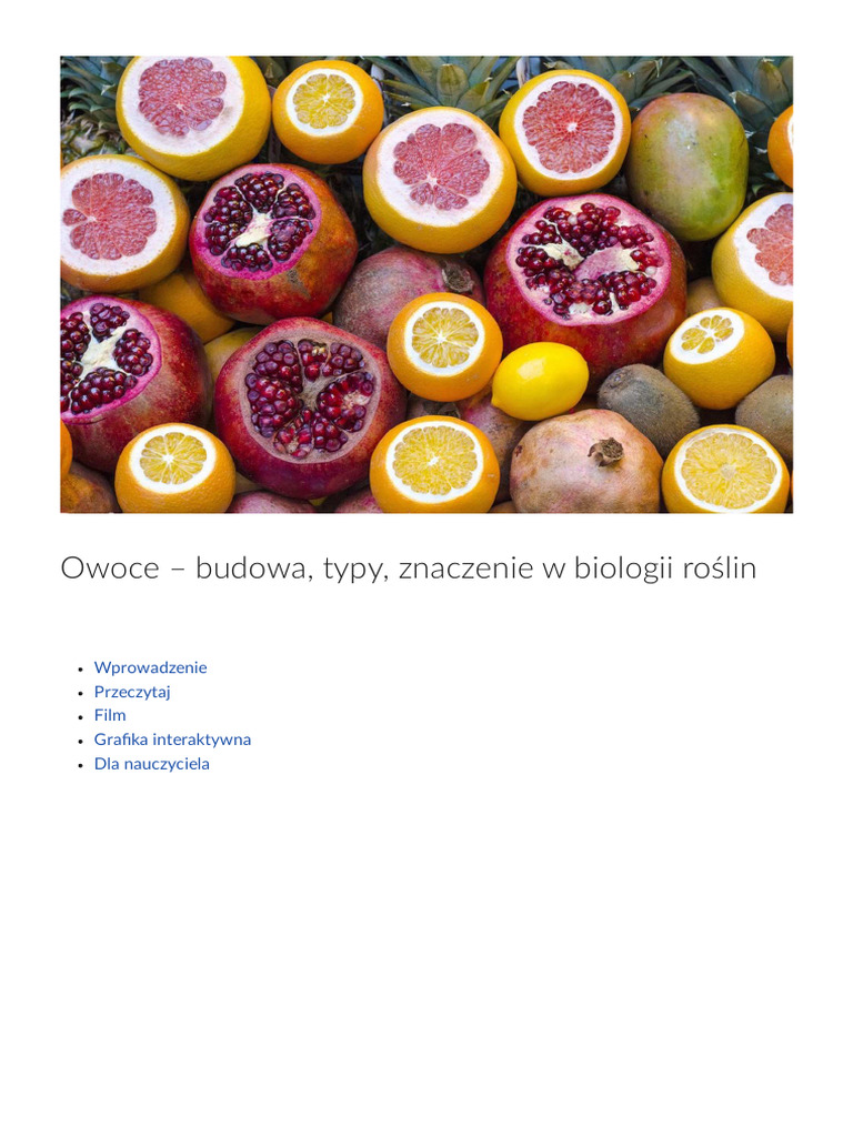 Owoce - Budowa Typy Znaczenie W | PDF