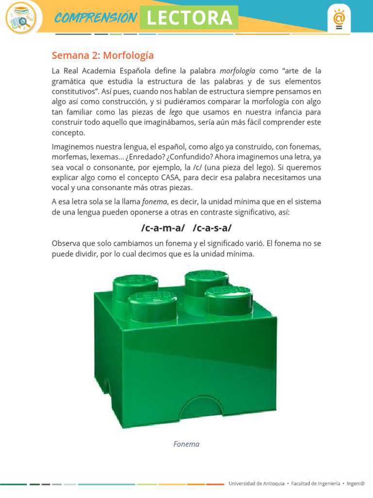 MORFOLOGIA VFinal | PDF | Palabra | Morfología (Lingüística)