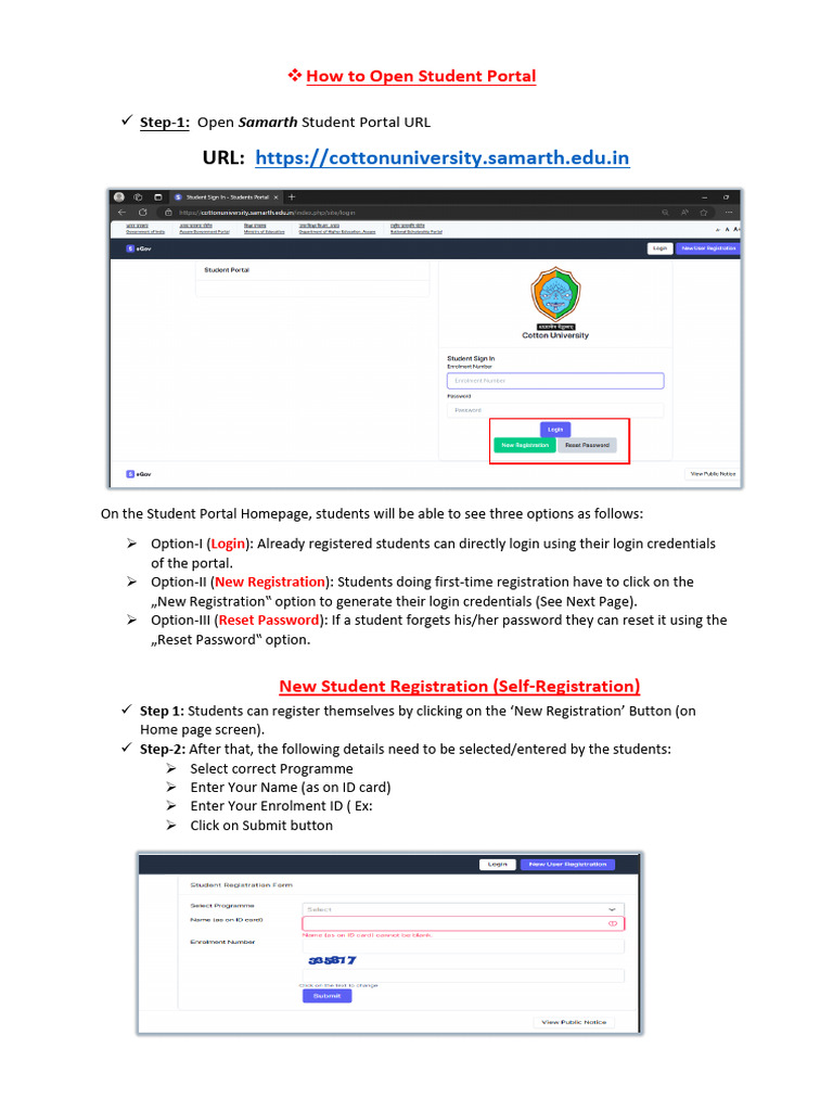 Student Portal Registration Guide | PDF | Credit Card | Computer Security