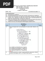 Class 12 Biology Experiment TS of Testes and LS of Ovary | PDF
