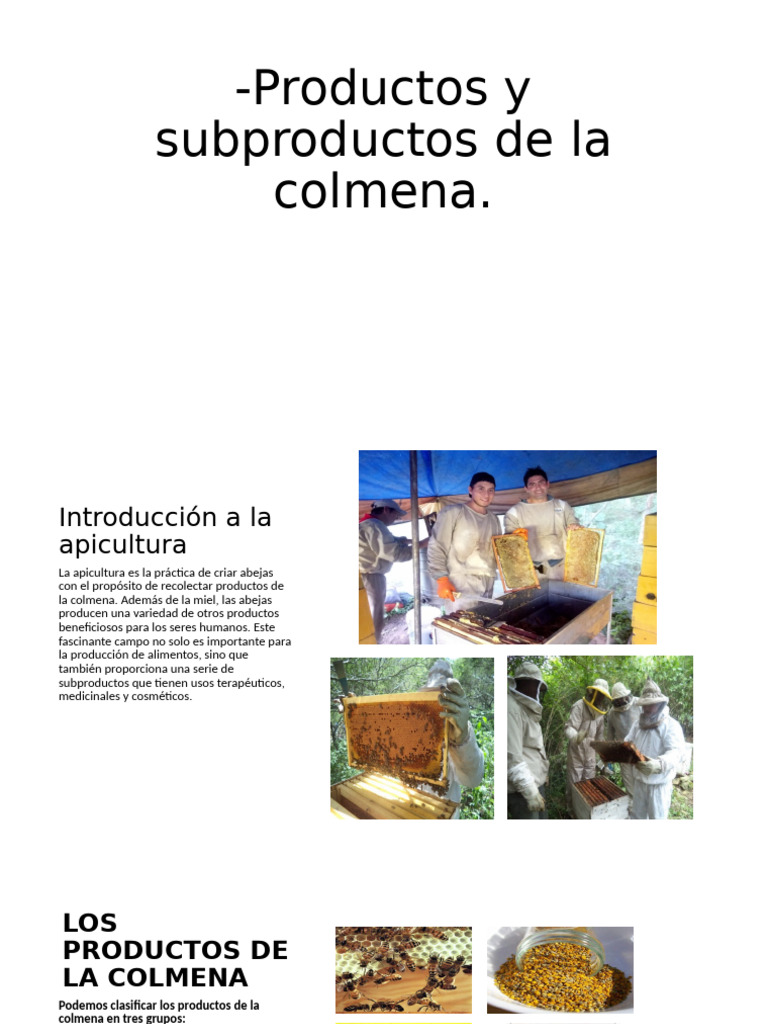 Productos y Subproductos de la Colmena | PDF | Miel | Apicultura