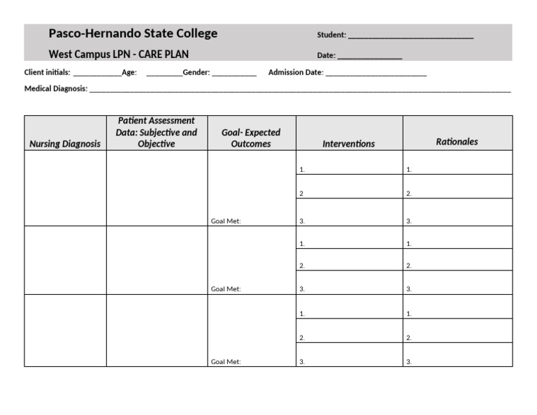LPN Surgical Care Plan Template | PDF