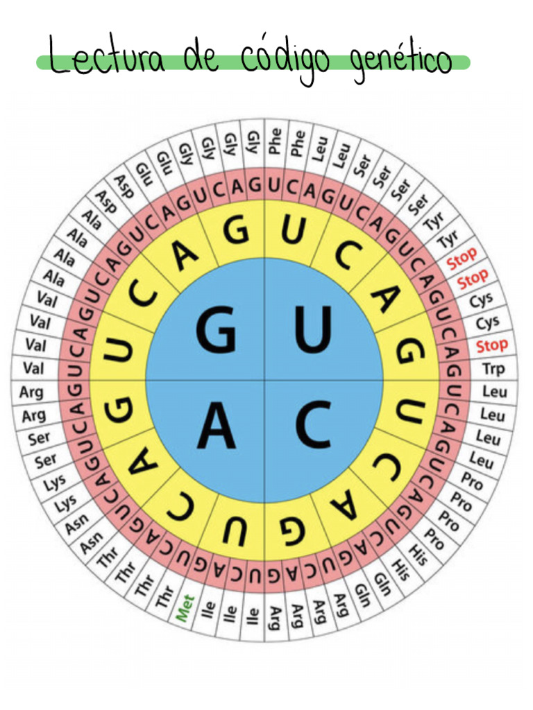 Biología Código Genetico | PDF