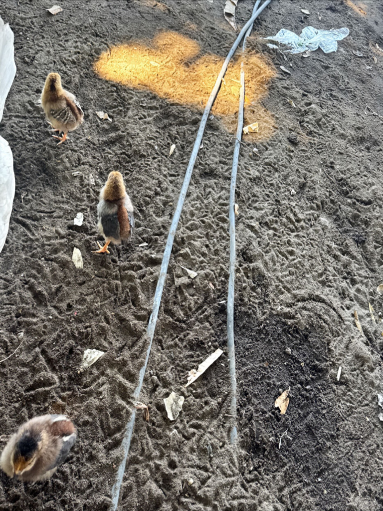 16-01-25, 2:10 P.M. Microsoft Lens | PDF