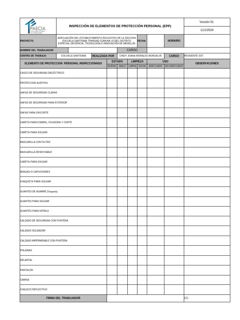 Inspeccion Epp | PDF